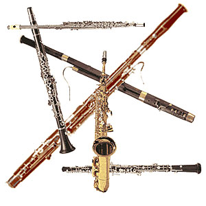 Choosing an Instrument – A Practical Guide (Woodwind edition ...